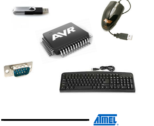 App Note Asf Usb Composite Device Dangerous Prototypes